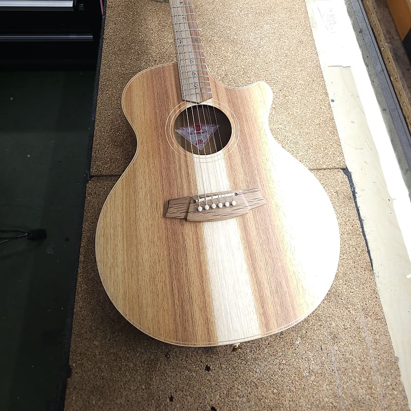 Cole Clark TL2EC-BLBL Thinline | Reverb