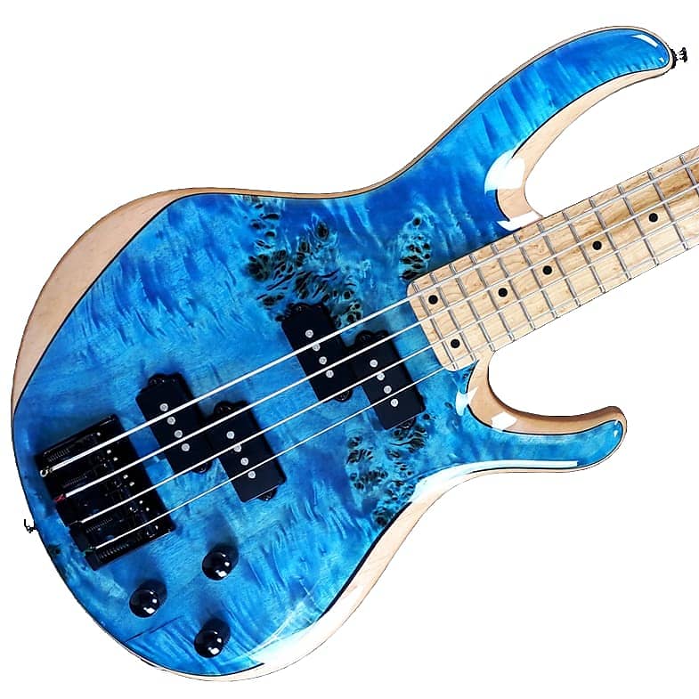 BITE Evening Star PP Blue Poplar Bass | Reverb