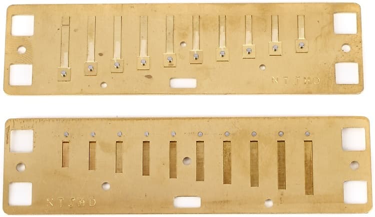 Lee Oskar Major Diatonic Harmonica Reed Plates - Key of D | Reverb