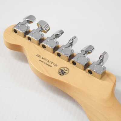 Fender Limited Edition Player Telecaster® Plus Top - Blue | Reverb