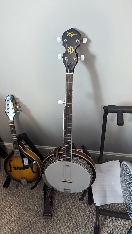 Rouge B30 5 String Banjo | Reverb
