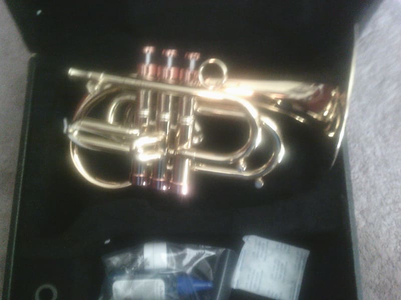 Carol Brass PHAT PUPPY FLUGELHORN 2024 - LACQUER | Reverb