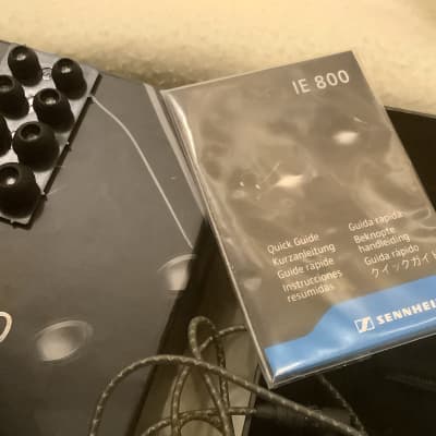 Sennheiser IE 800 In ear monitor earbuds headphones IE-800 | Reverb