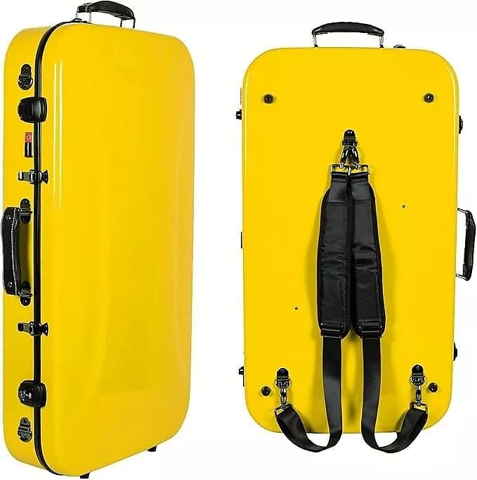 Crossrock Fiberglass Mandolin Violin Double Case-Fits A/F | Reverb