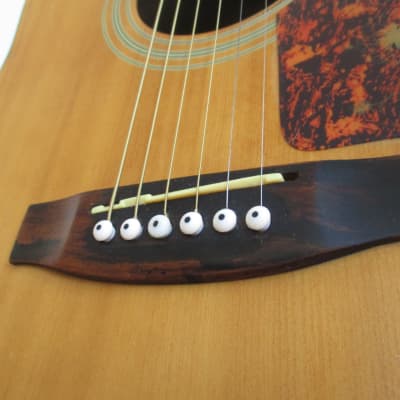 SaeHan Sunghan Korea (Vester) acoustic dreadnought guitar | Reverb