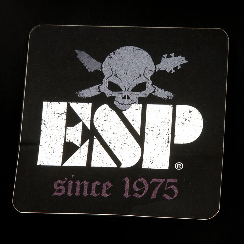 ESP GUITARS STICKER INSANELY RARE LIMITED EDITION GUITAR CASE | Reverb
