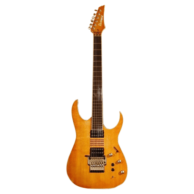 Ibanez JCRG-21B J. Custom | Reverb