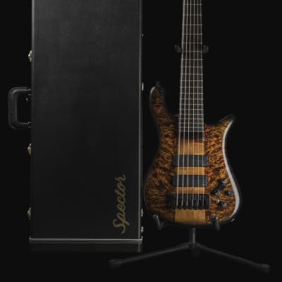 Spector NS-6 XL Ale's Inferno Buckeye Burl Top Redwood | Reverb