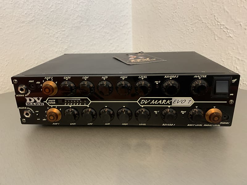 DV Mark EVO1 guitar head | Reverb