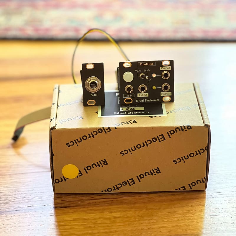 Ritual Electronics Pointeuse 1u Module | Reverb