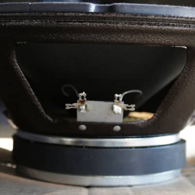 WGS 12" Retro 30 - 75 Watts - 16 Ohm | Reverb