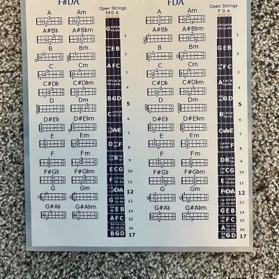 Turkish Saz Baglama with Hard Case, Chord Sheet, Practice | Reverb