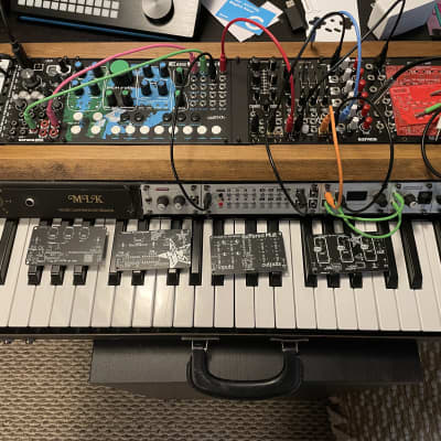 Custom Modular synth case - Black and wood | Reverb