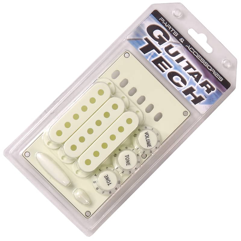 Guitar Tech S-type Accessory Kit ~ Mint Green | Reverb