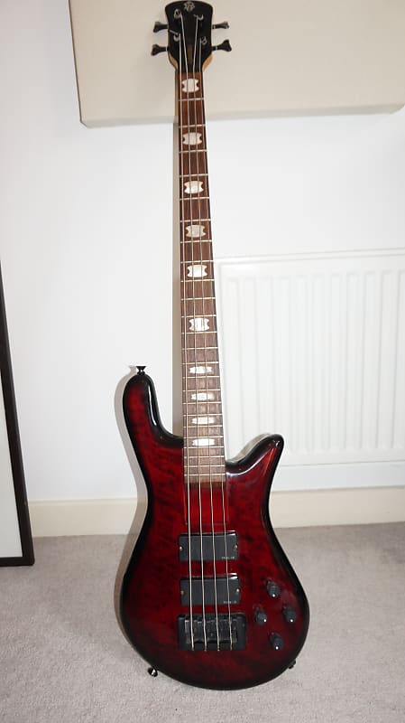 Spector Euro Rebop 4 DLX FM 2005 Black Cherry | Reverb UK