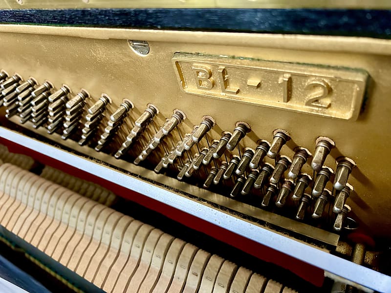 Kawai BL12 | Reverb