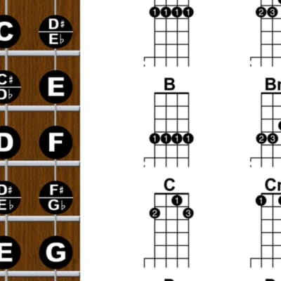 5 String Banjo Fretboard Notes Poster & Chord Chart G Tuning | Reverb