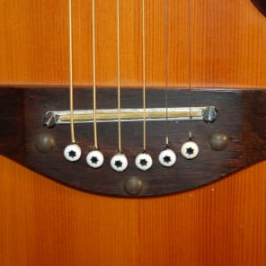 EKO Sombrero VI Dreadnought Adjustable Bridge Pro Setup | Reverb