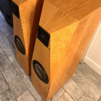 Avalon Eclipse Floor Standing Speakers | Reverb