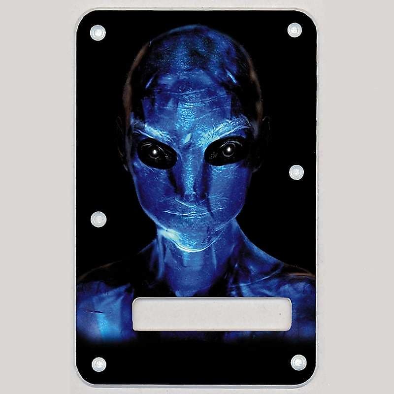 Graphical Tremolo Cover Fender Stratcaster Strat Blue Entity | Reverb