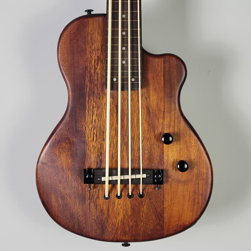 Gold Tone ME-BassFL 23-Inch Scale Fretless Electric MicroBass | Reverb