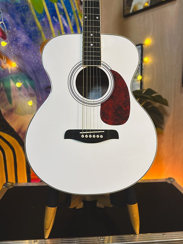 NEW 2024 Brunswick BF200 Acoustic Guitar in White | Reverb