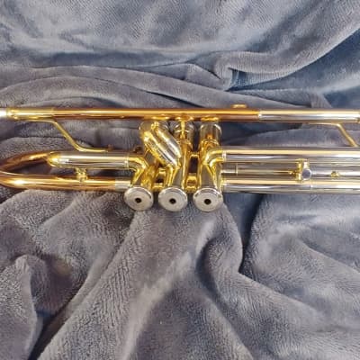 Simba 205 Trumpet - Mint - Ready for New Owner | Reverb