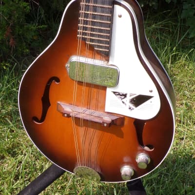 KAY N-2 Mandolin 1960s 2 Color Sunburst | Reverb