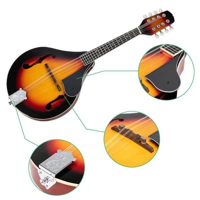 A Style Mandolin with Pick Guard Sunset | Reverb