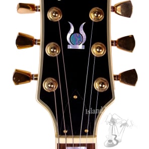 Jay Turser JT-220 Les Paul Style Electric Guitar | Reverb