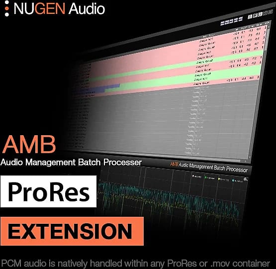 NUGEN AMB ProRes Module (Download) Audio Management Batch | Reverb