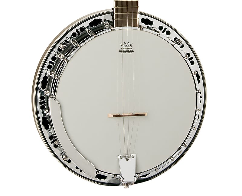 Washburn Americana Series B11K-A 5-String Banjo. Natural - | Reverb