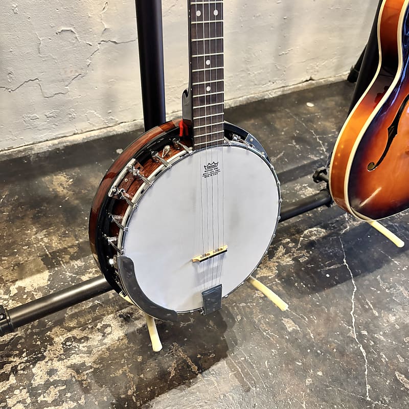 Johnson Banjo - JB-100 - Sounds and Looks Great! | Reverb