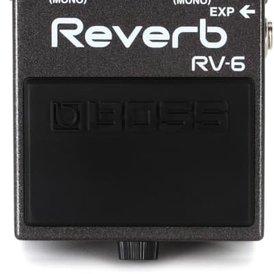 Boss RV-6 Digital Reverb Pedal Bundle with Boss EV-30 Dual | Reverb