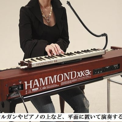 NEW Hammond Pro 44H Amplified Melodion 44 Key Melodica | Reverb