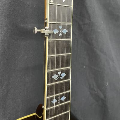 Dobro 5-String Dojo | Reverb