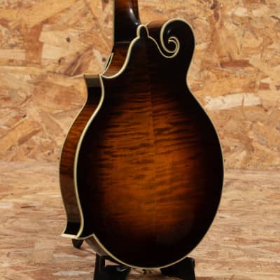 Quint QT-F5 w/Pure Mini | Reverb