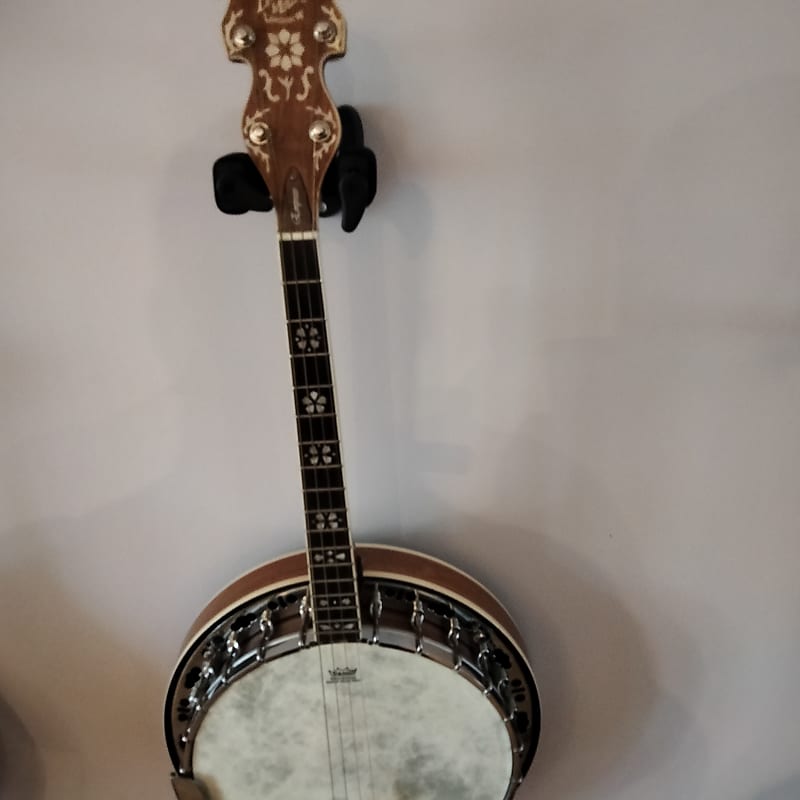 17 Fret Tenor Banjo With Hard Case | Reverb UK