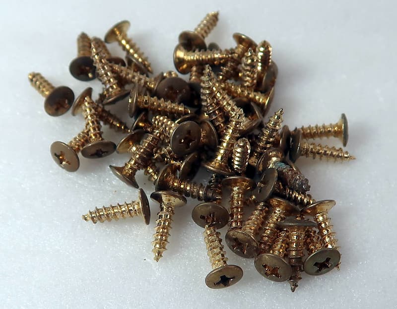 RELIC Lot of 50 Guard / Backplate Screws in Gold | Reverb