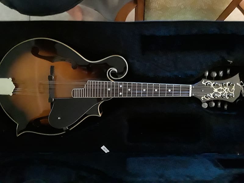 Johnson Mandolin mf-100 | Reverb