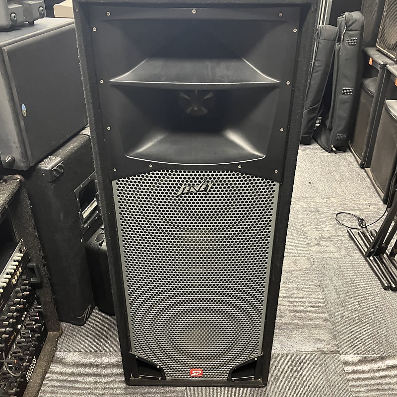 Peavey SP6 Passive PA Pair | Reverb