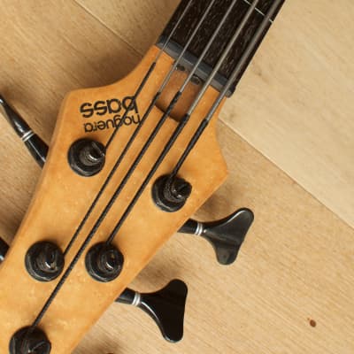 Noguera 5 strings Fretless - Picta model | Reverb