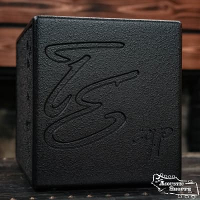 AER The Acoustic People Compact 60/4 Tommy Emmanuel Signature | Reverb