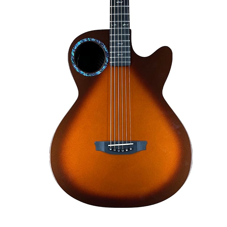 Rainsong CO-WS1005NST Acoustic Guitar All-Carbon-Fiber | Reverb