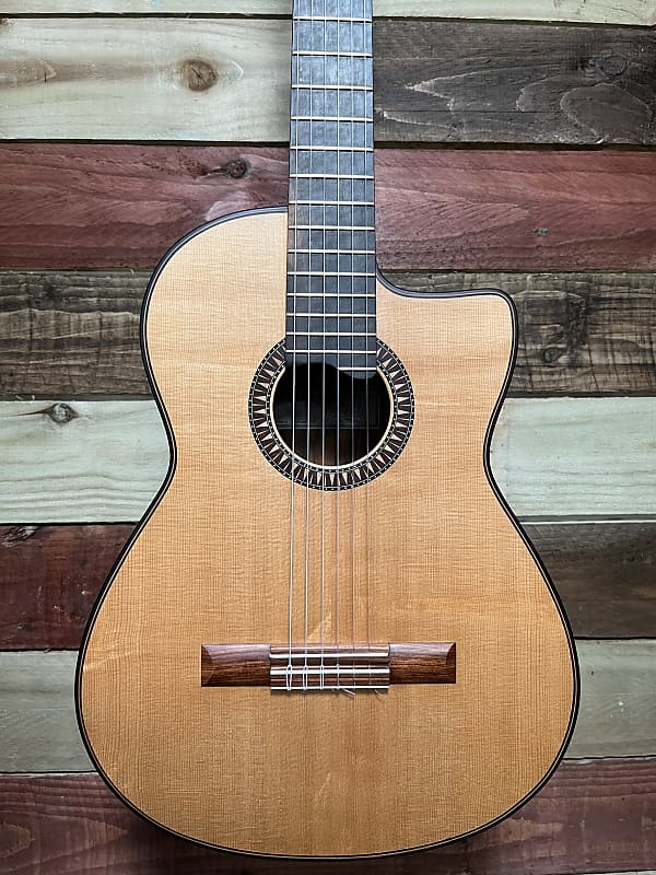 Michael Ritchie Jazz Cutaway Nylon 2016 - Natural Oil | Reverb