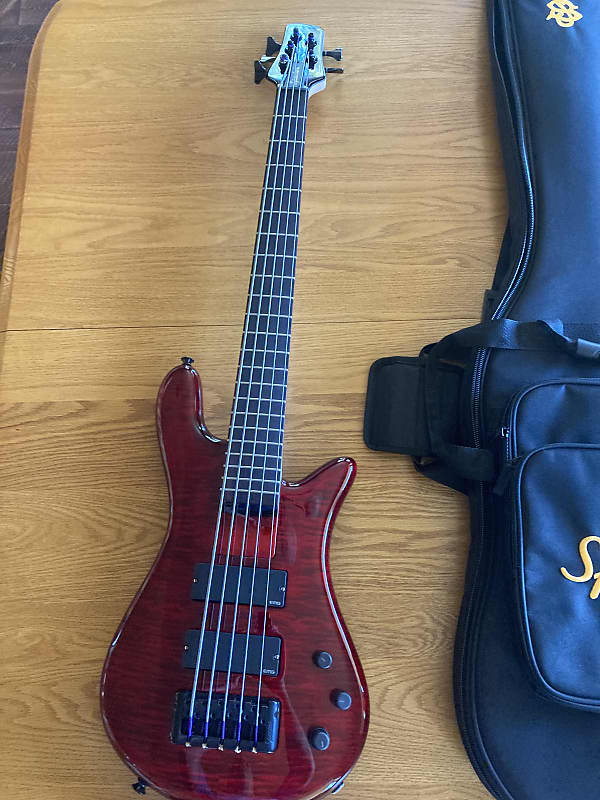 Spector Bantam 5 2022 Black Cherry | Reverb