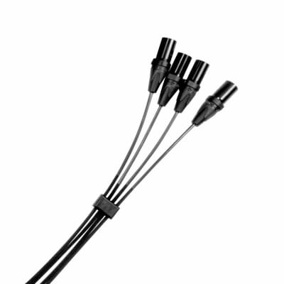 PERSEUS 4 Channel XLR Fan to Fan 10 ft Audio Snakes with | Reverb