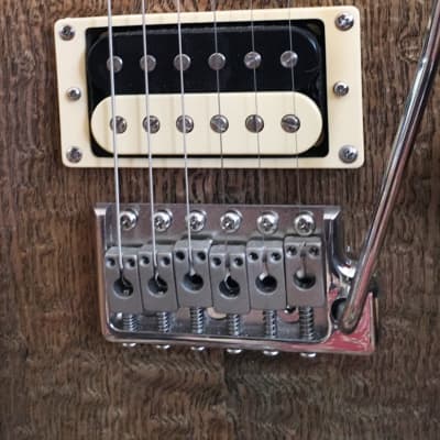 PRS SE Custom 24 exclusive finish Burled Ash | Reverb