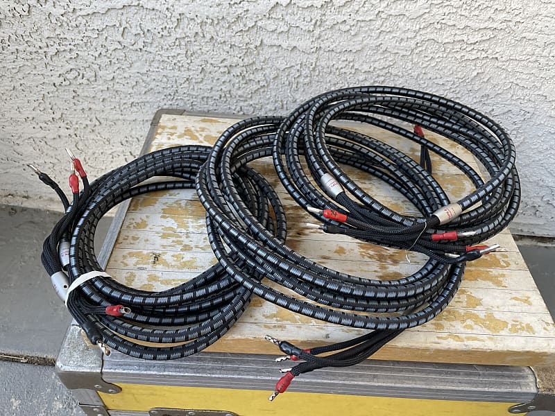 AudioQuest Typ 6 Bi-Amped Spearker Cables Lot 15ft | Reverb