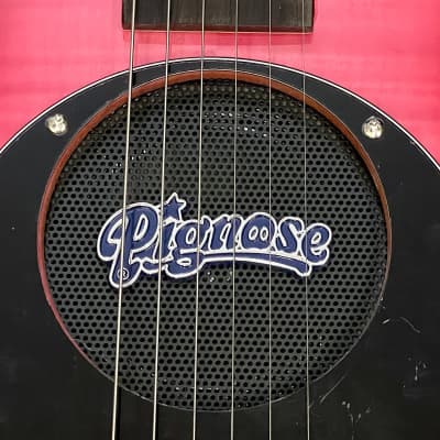 【new】PIGNOSE / PGG-200 FM SPK【兵庫店】 | Reverb